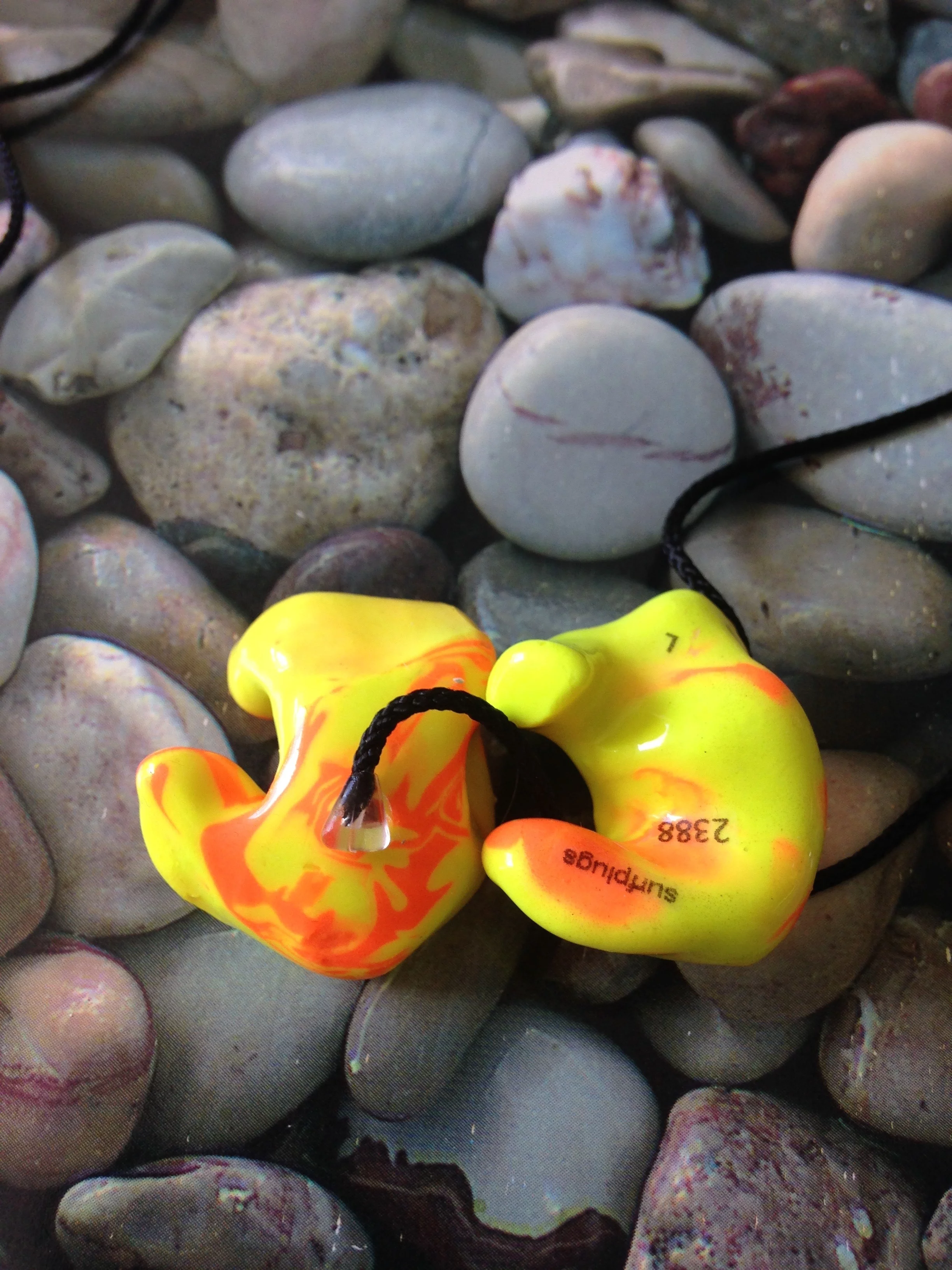 Order – Surfplugs